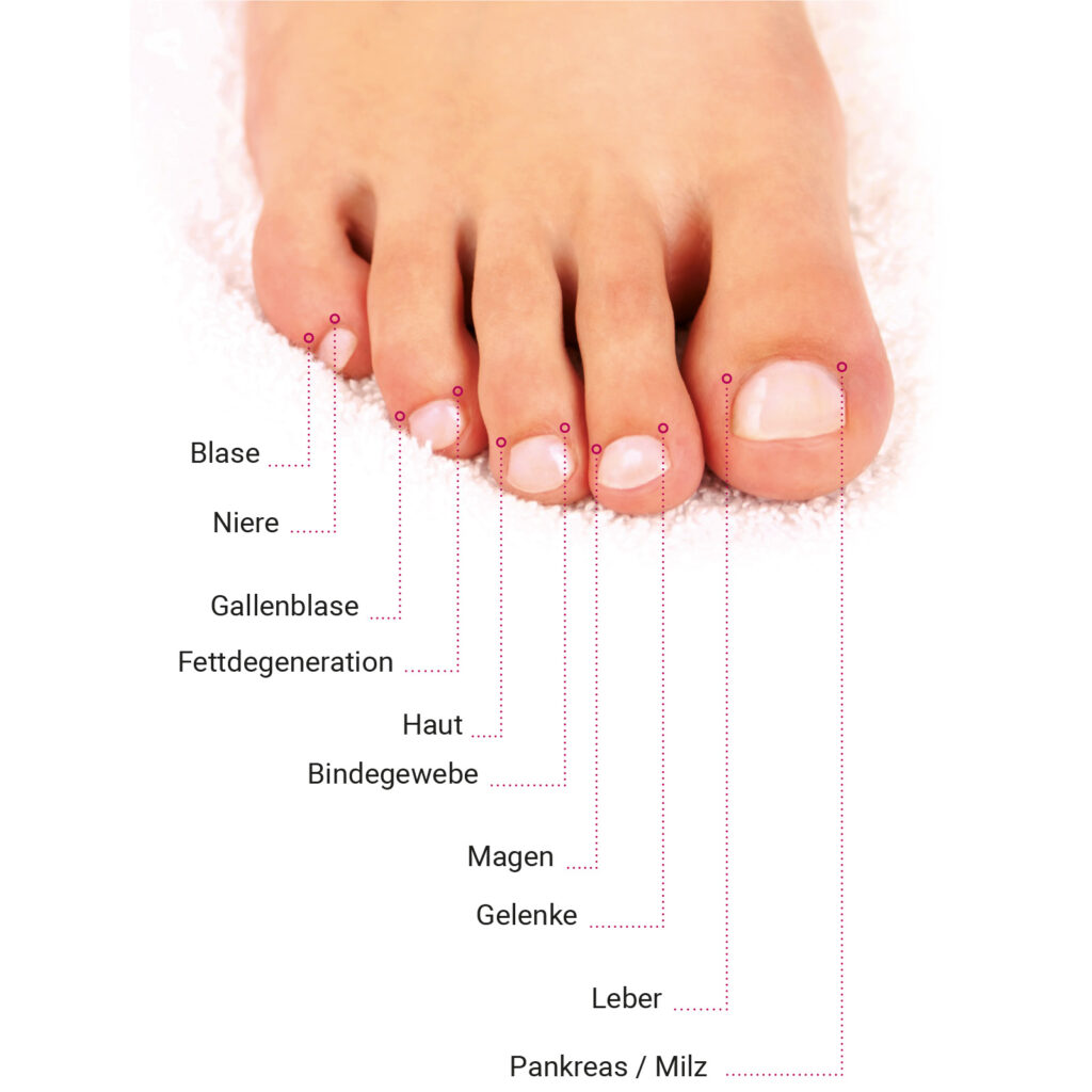 Akupunktur – vitarights.de