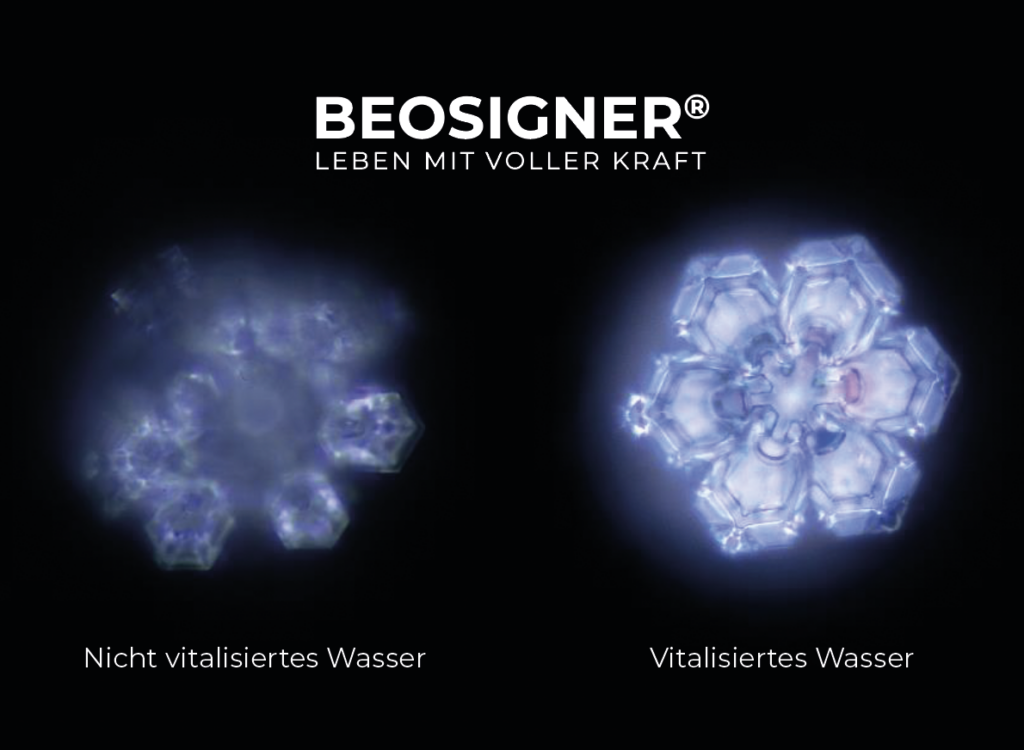 **NEU** Luxood® – das natürliche Upgrade für die Haut - vitarights.de